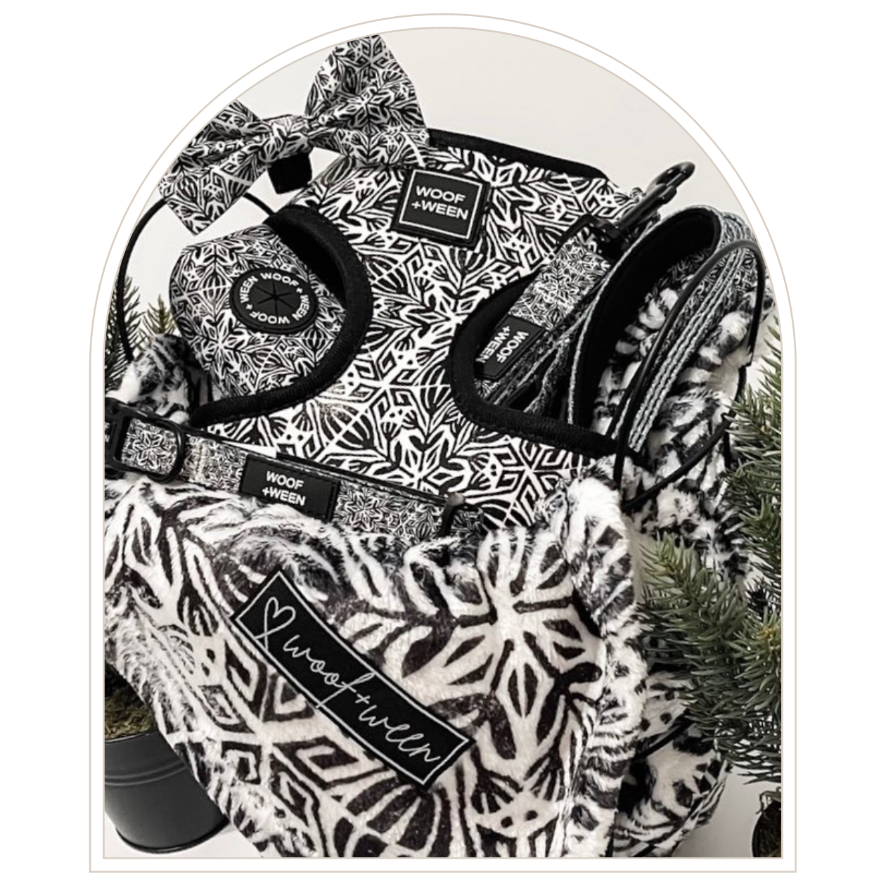 BACK IN BLACK – WOOF + WEEN